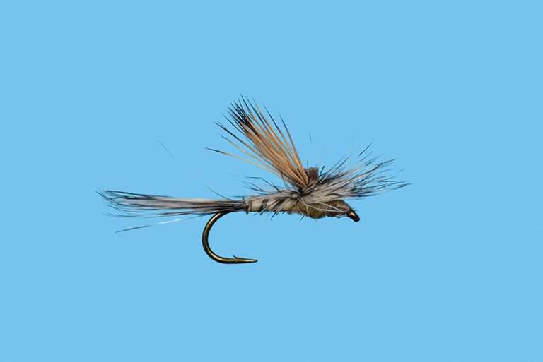 Callibaetis Archives - Solitude Fly Company