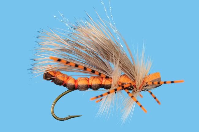 Stone Flies (Salmon Flies, Golden Stones & Sallies) Archives - Solitude ...